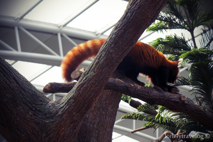 The World’s River Safari – Lonely Travelog