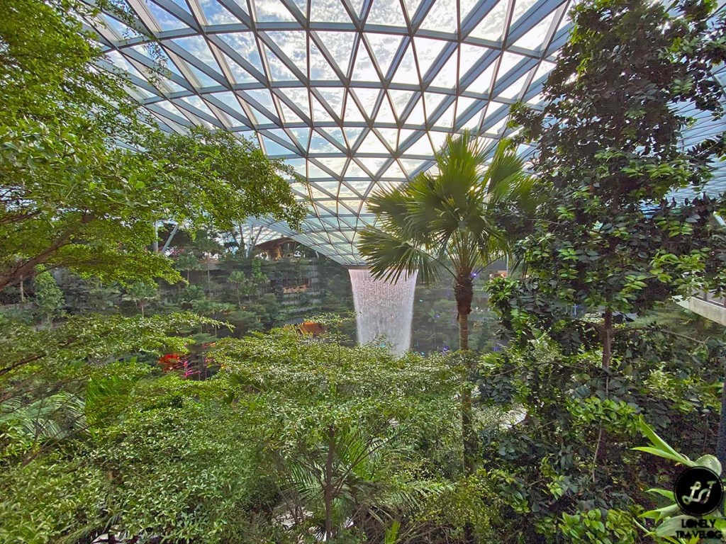 Canopy Park at Jewel Changi Airport – Lonely Travelog