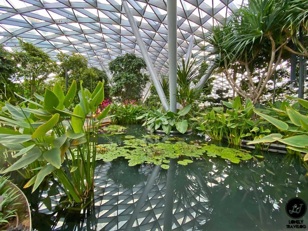 Canopy Park at Jewel Changi Airport – Lonely Travelog