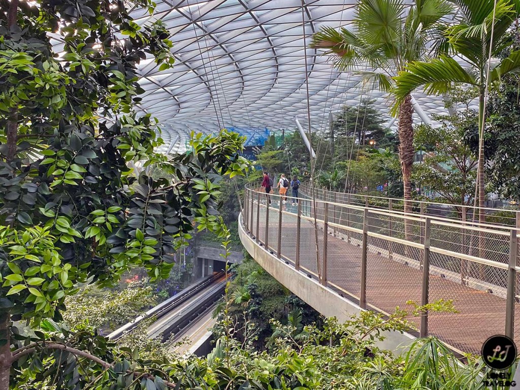 Canopy Park at Jewel Changi Airport – Lonely Travelog