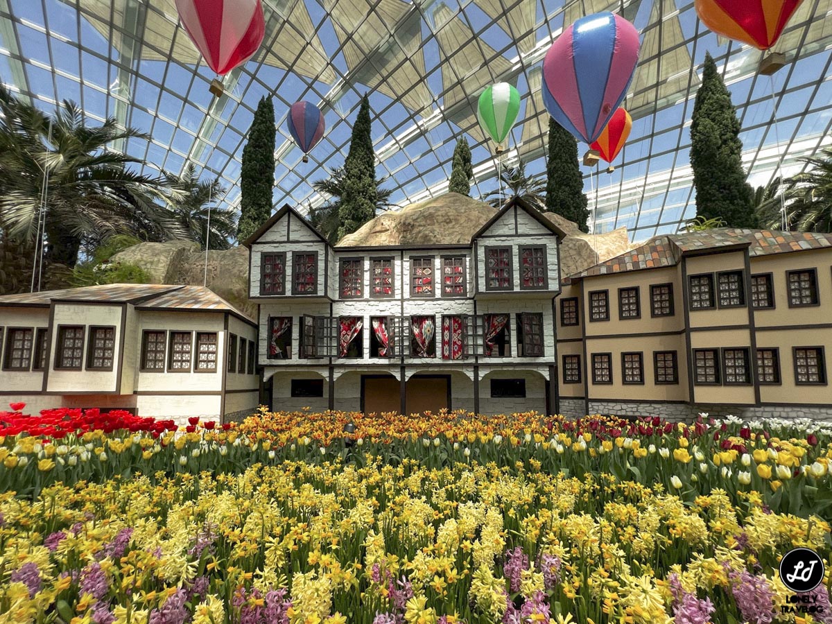Tulipmania: Origins of the Tulip – Lonely Travelog